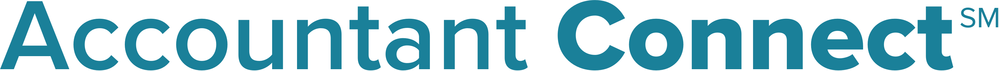 Accountant Connect