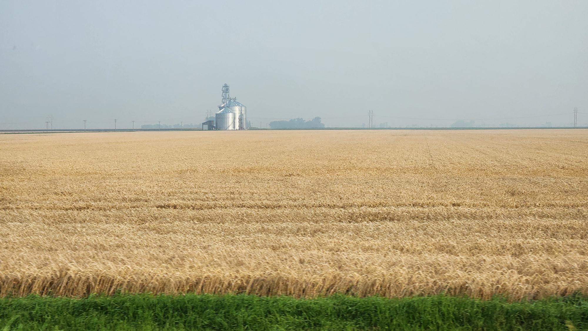 How Farm Aid Actually Helps Farmers - CPA Practice Advisor