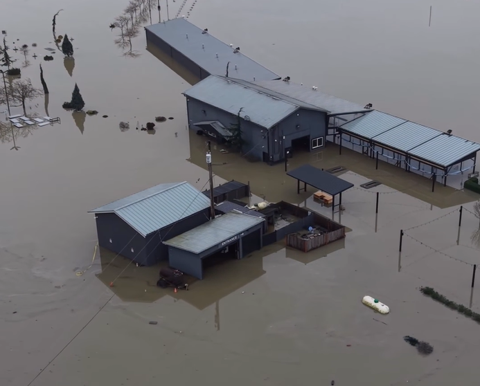 IRS Extends Tax Deadline to May 1 for Washington Storm Victims - CPA ...