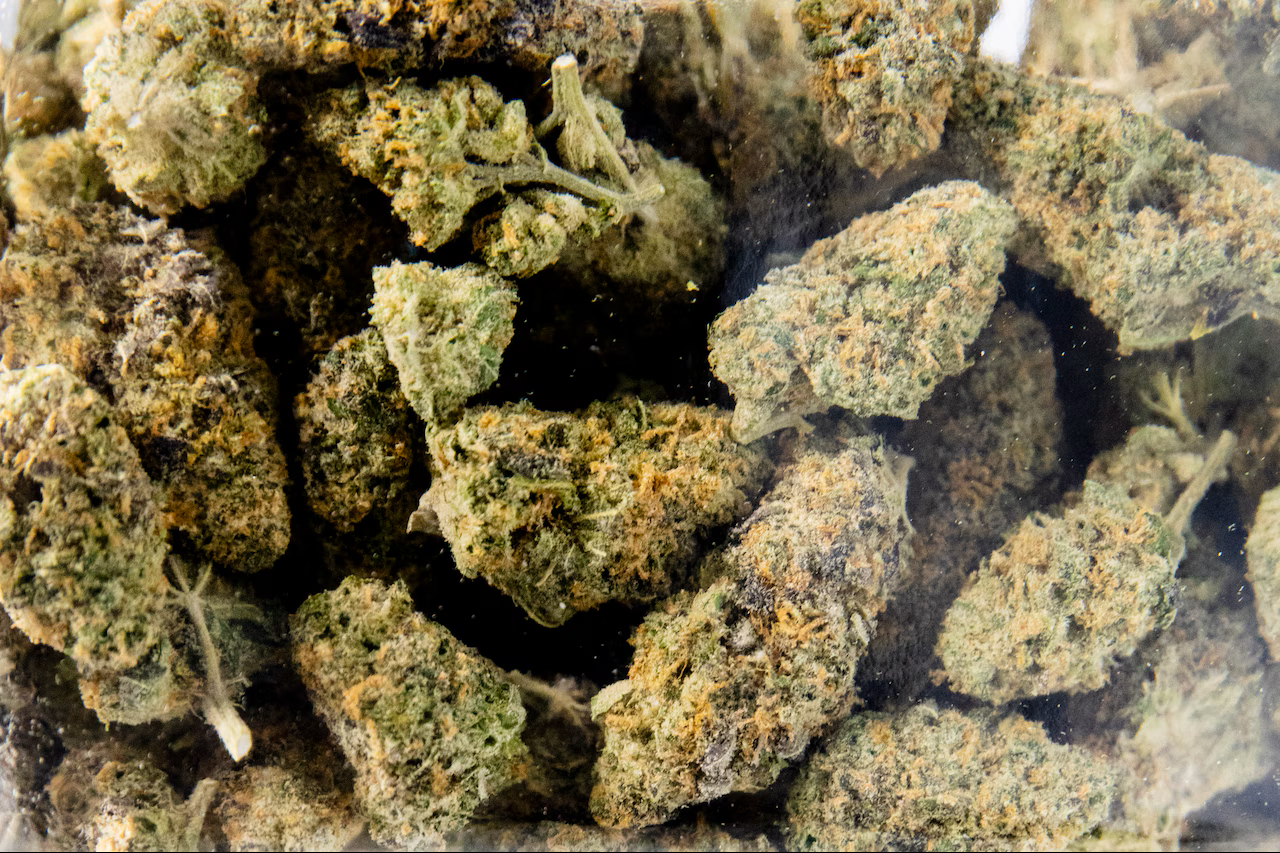 Judge Allows Lawsuit Challenging Michigan’s New 24% Marijuana Tax to ...