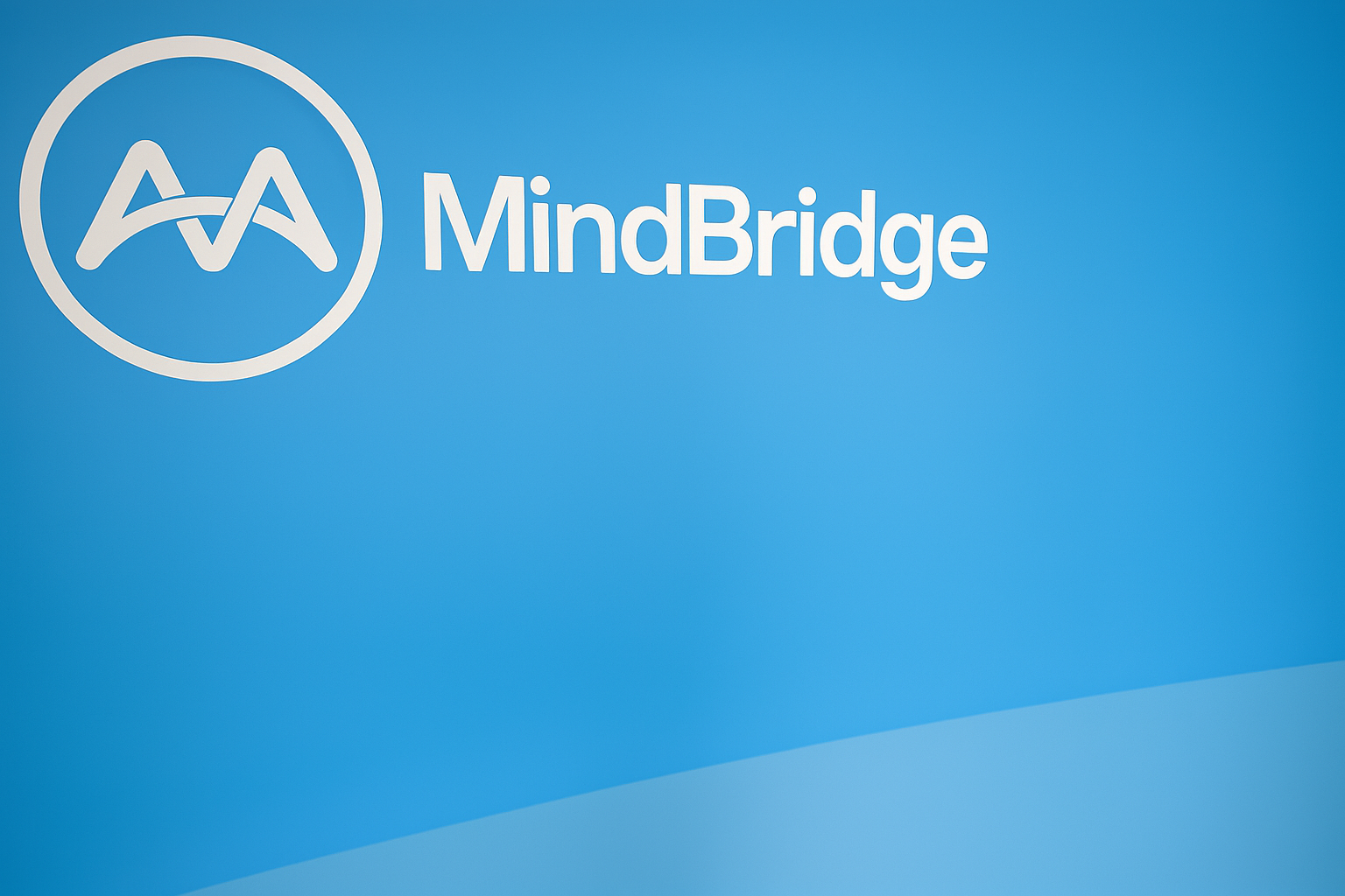 MindBridge Unveils Developer Portal to Support Continuous Financial ...