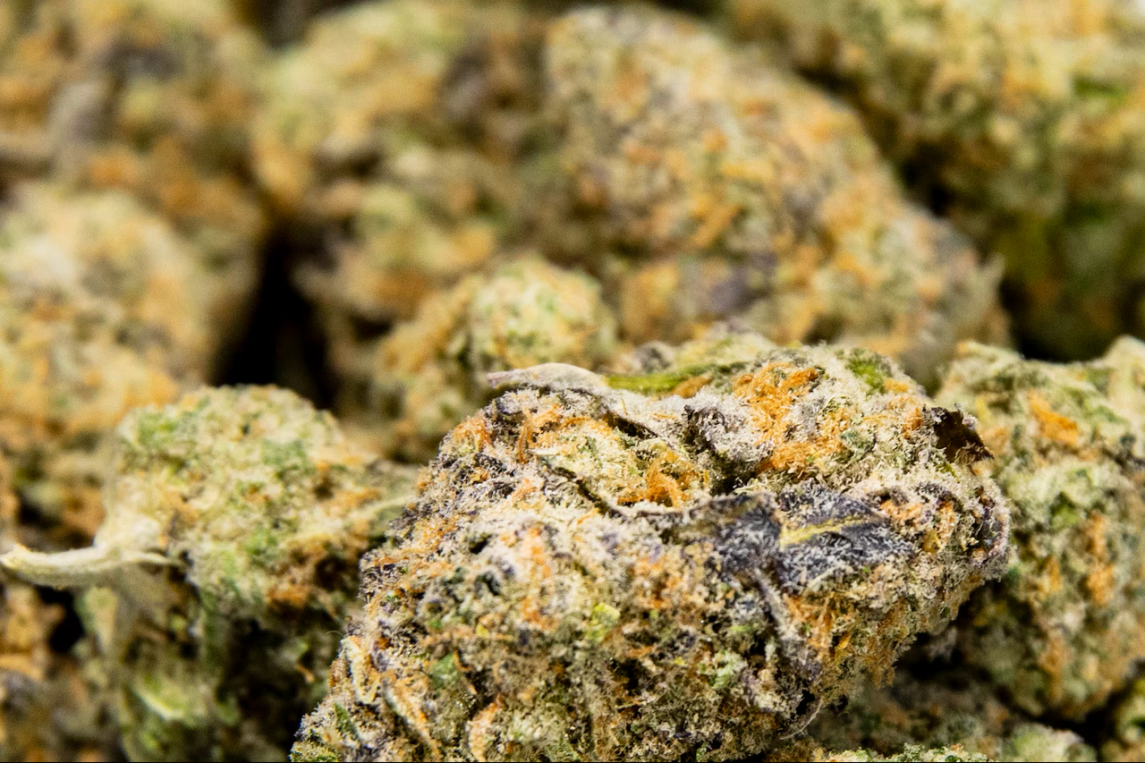 Michigan Supreme Court Orders Review of State's 24% Cannabis Tax - CPA ...